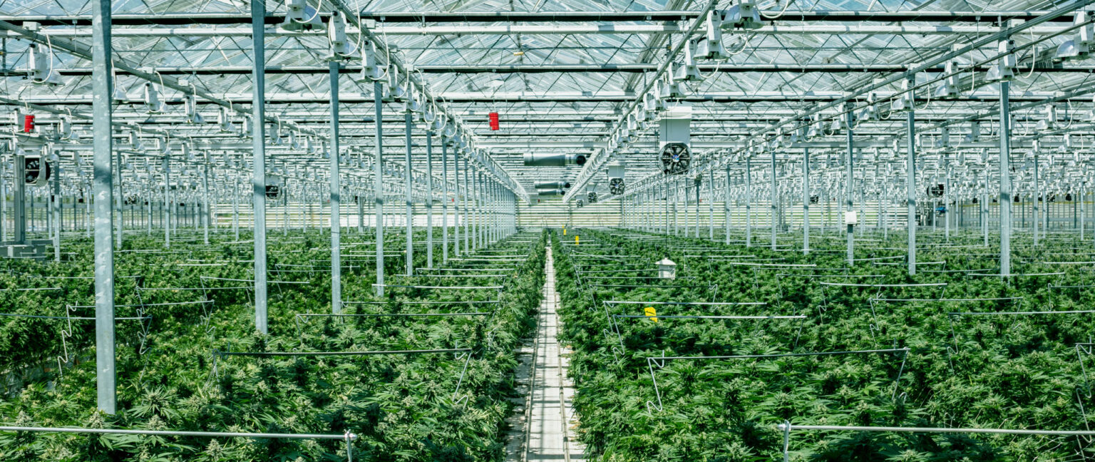 About | Fraser Valley Weed Co.